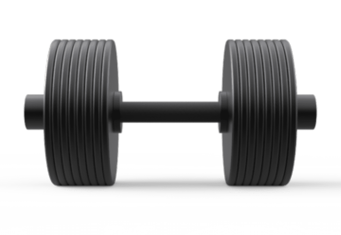Loadable Dumbbell Set | Original Kettlebell